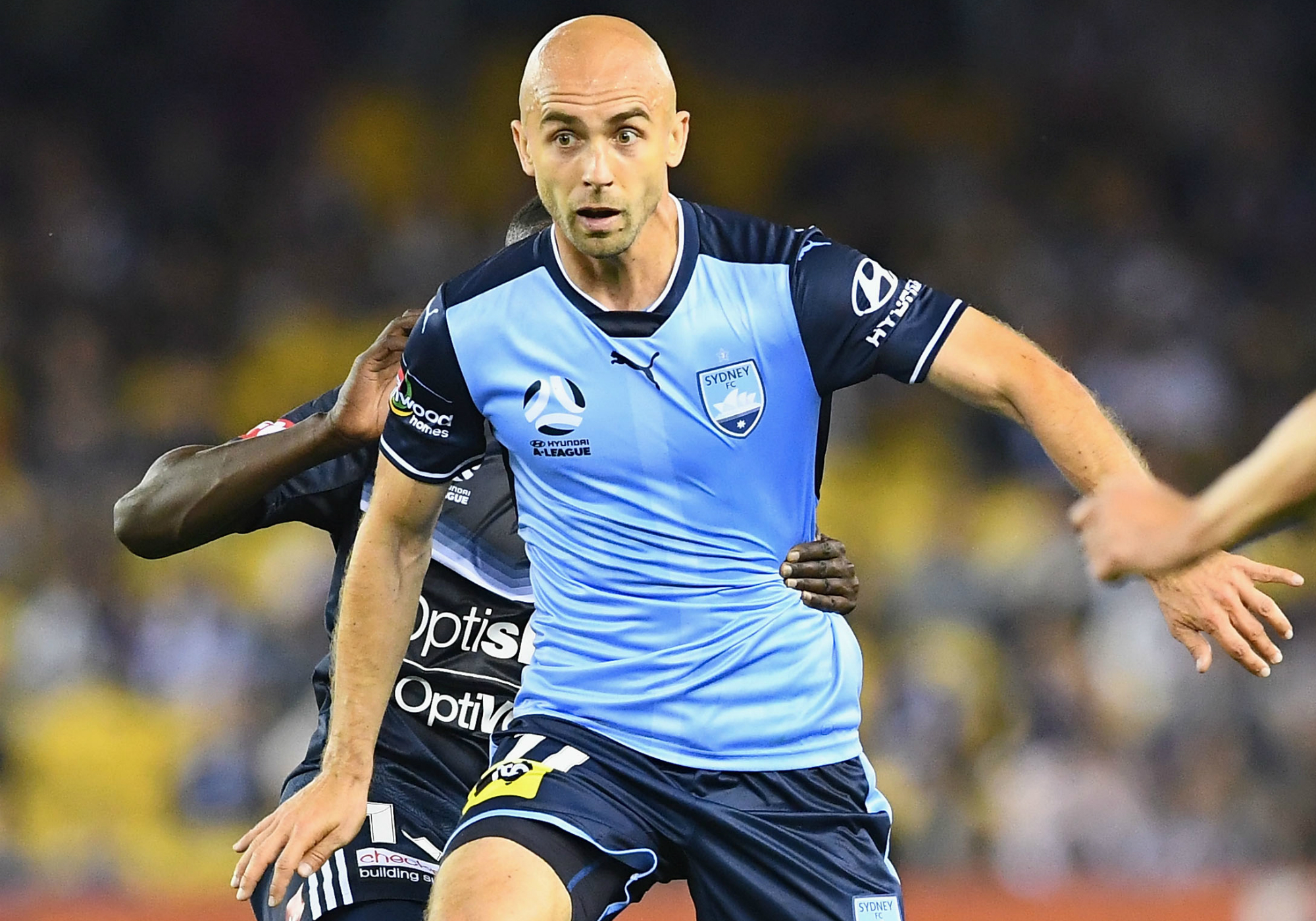 Mierzejewski worthy winner of Johnny Warren Medal - A-Leagues