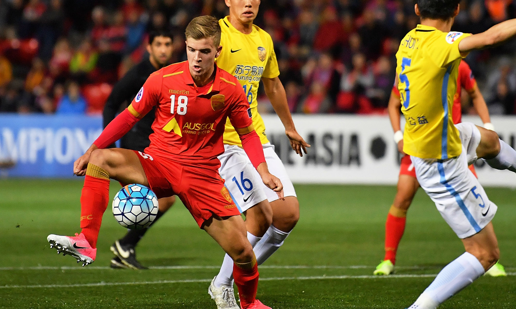 Homecoming hero McGree plotting assault on Hyundai A-League - A-Leagues