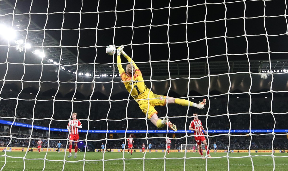 The best of the shot-stoppers contending for Goalkeeper of the Year - A ...