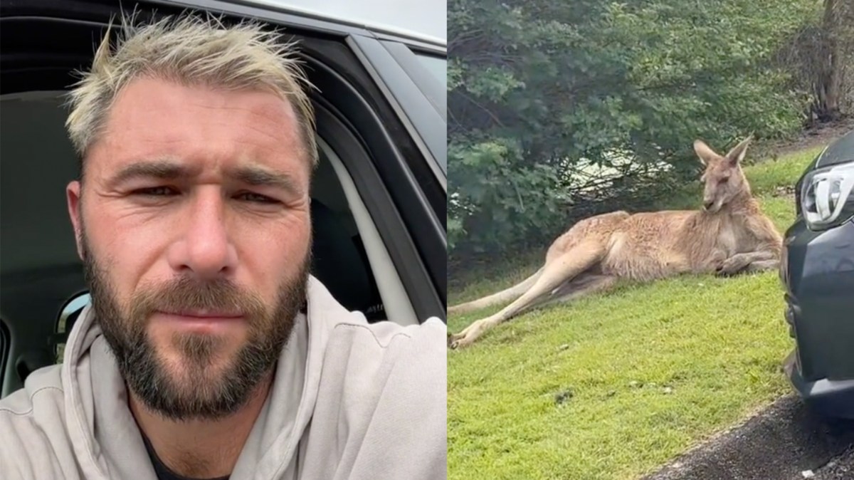 'You've had a stinker mate!' Roar teammate roasts Austin's Aussie ...