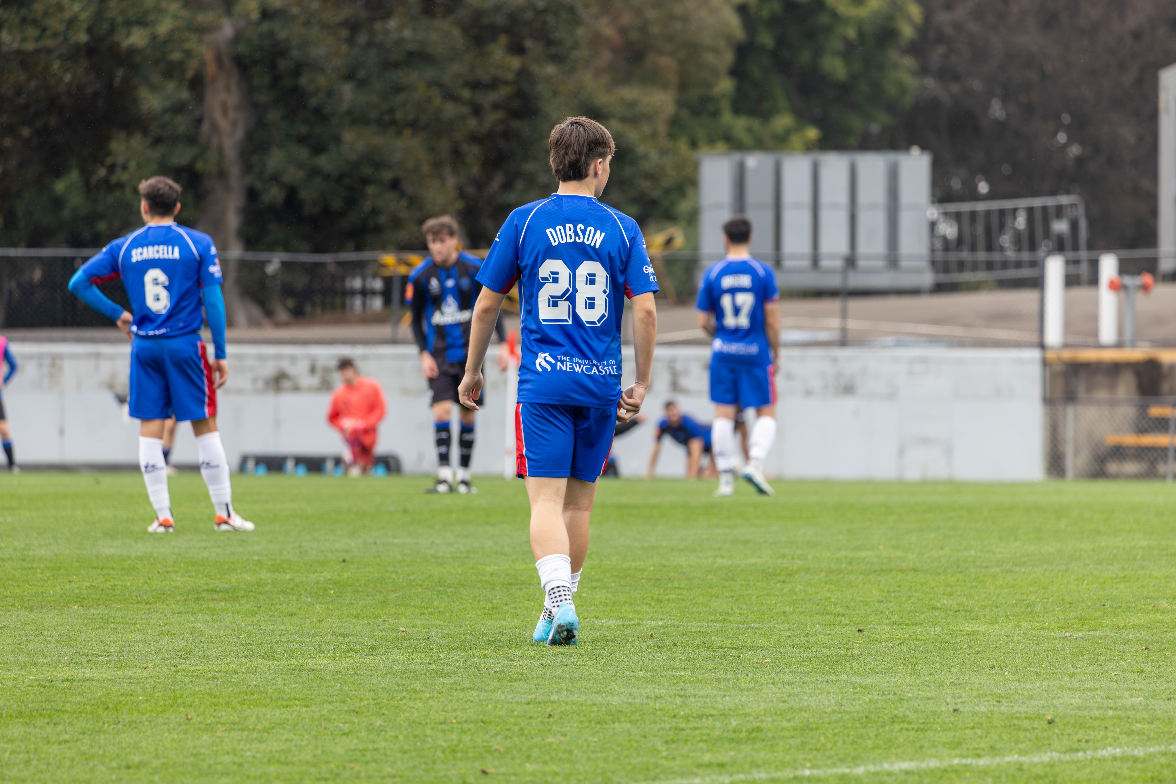 Newcastle Jets sign Will Dobson to A-League Men scholarship deal