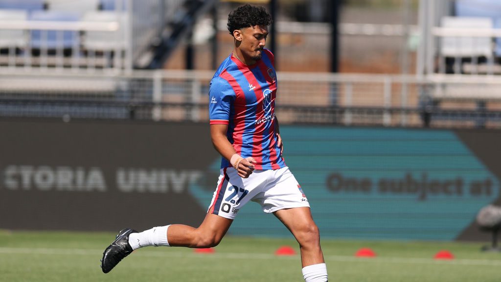 A-League transfer news: Newcastle Jets defender leaves club