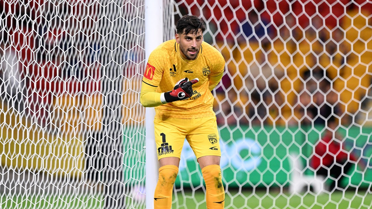 Newcastle Jets sign goalkeeper James Delianov: A-League News