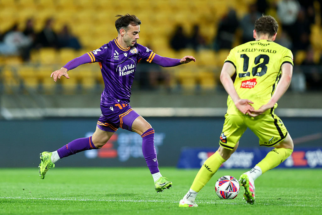 A-League transfer news: Wellington Phoenix sign Nikola Mileusnic