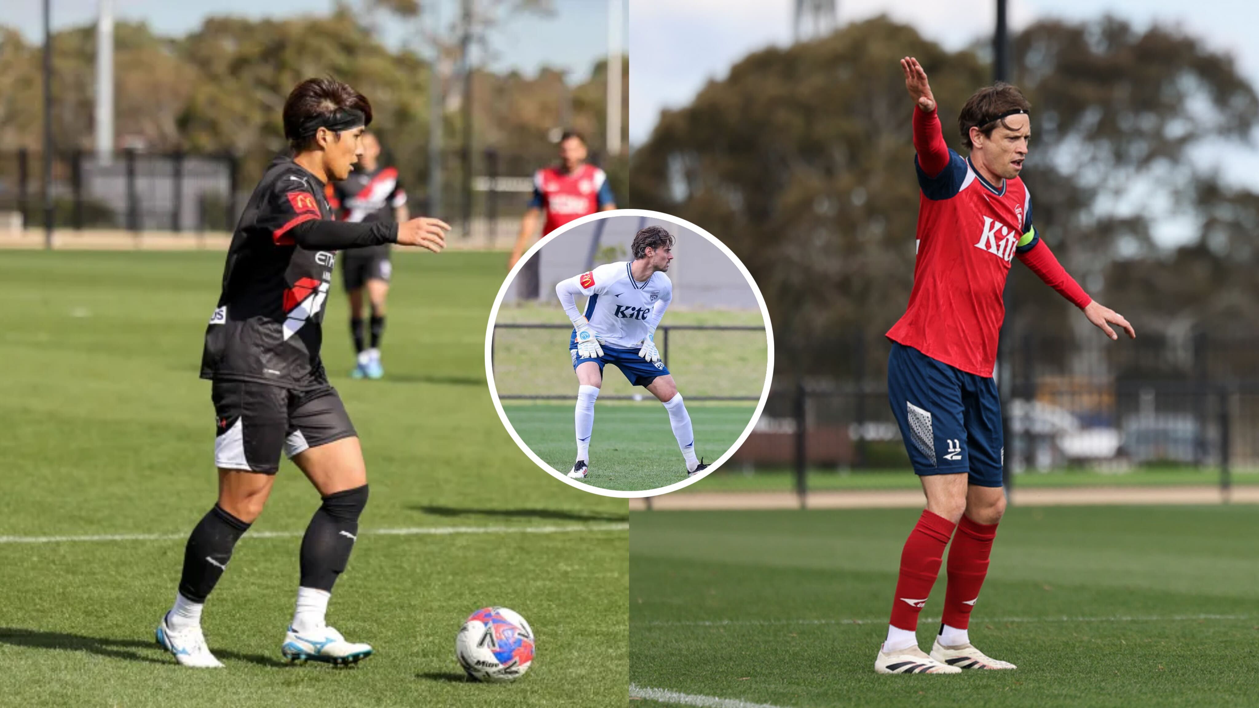 Melbourne City v Adelaide United: Score, result, reaction